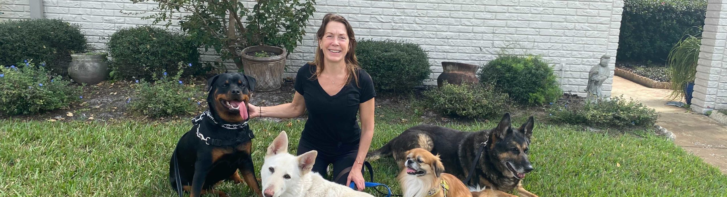 The Joy of Dogs - Center for Health & Wellbeing